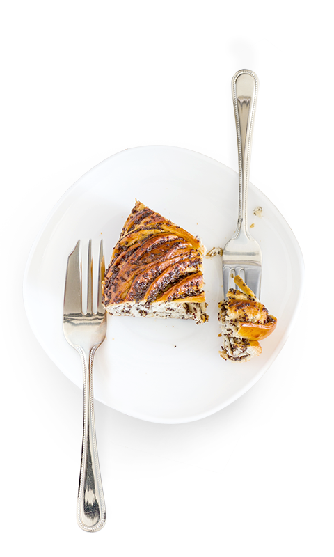 Plate IQ | Registration